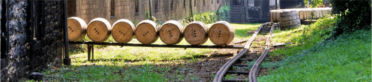 The Top 25 Live Auction Package Ideas