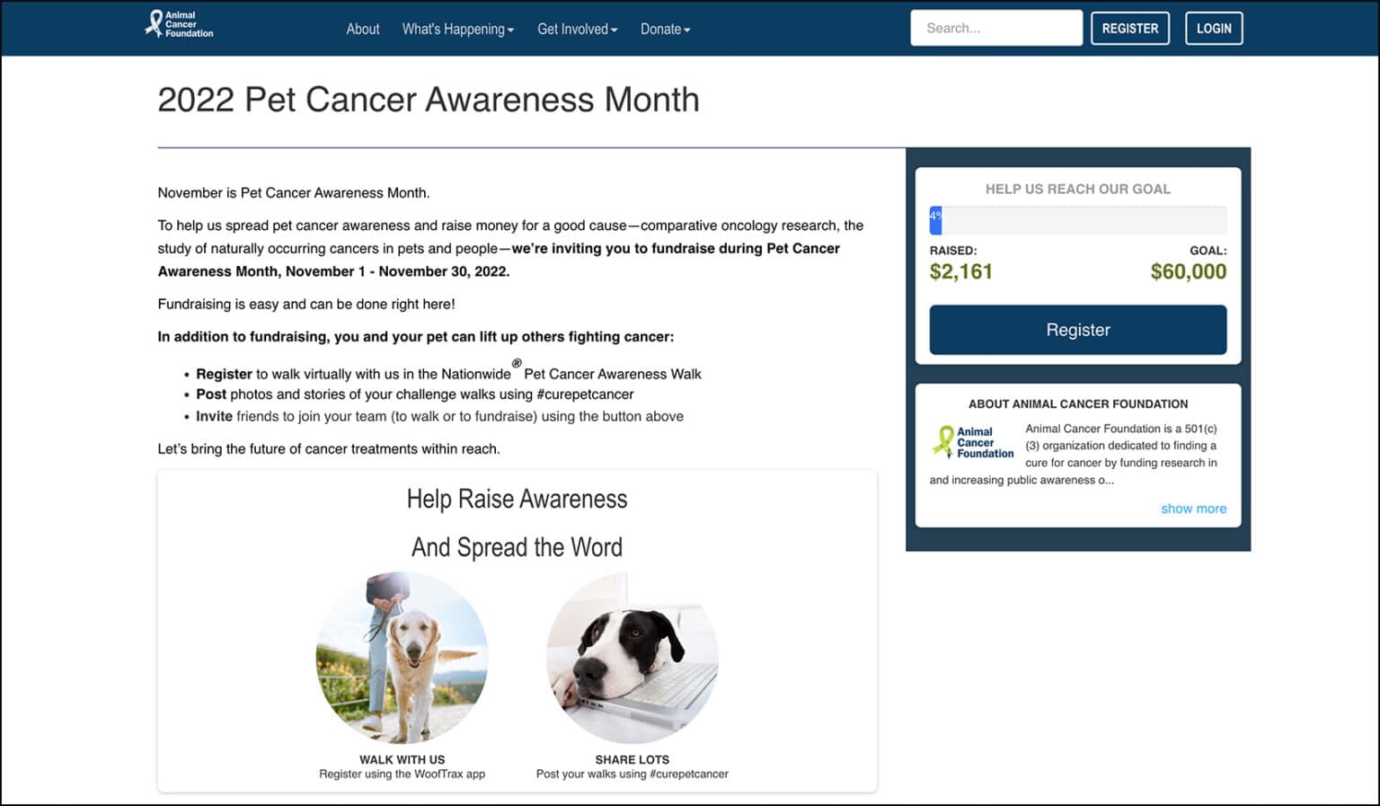 Creating a Standout Awareness Campaign: A Complete Guide