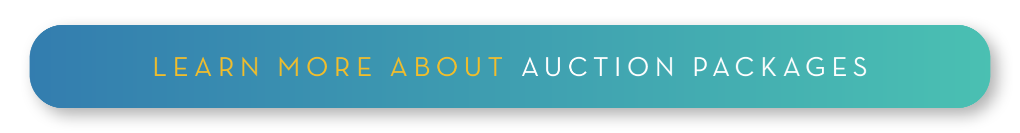 16 Premier Silent Auction Software Solutions to Grow Revenue