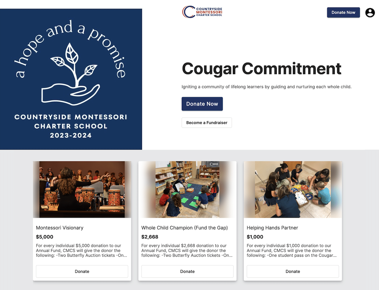 10 Donation Page Examples That Fuel Fundraising Success