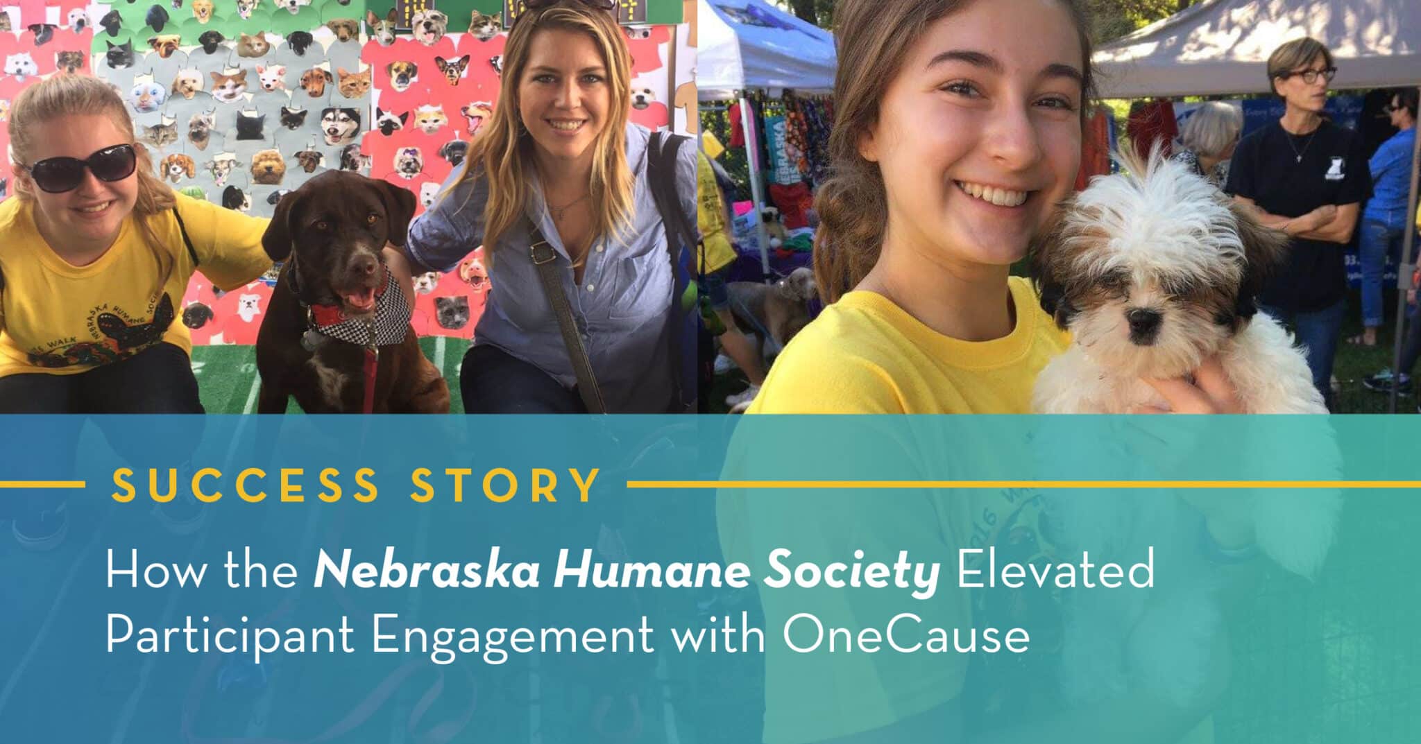 How the Nebraska Humane Society Elevated Participant Engagement with ...